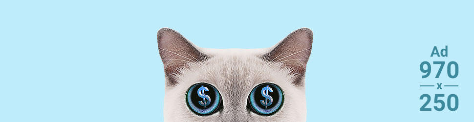 How to Removing Air from Brake Lines? - HTJ